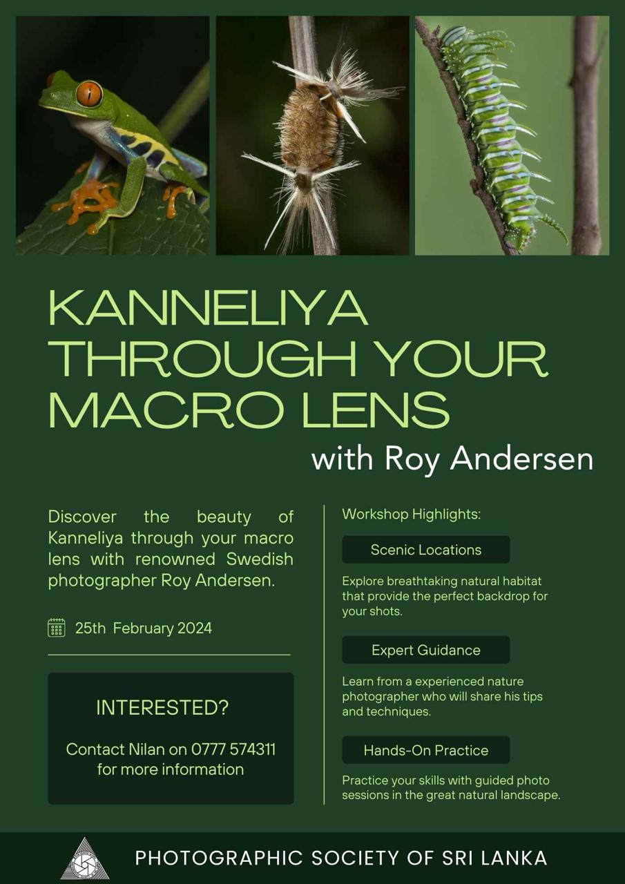 KANNELIYA THROUGH YOUR MACRO LENS – Photographic Society of Sri Lanka