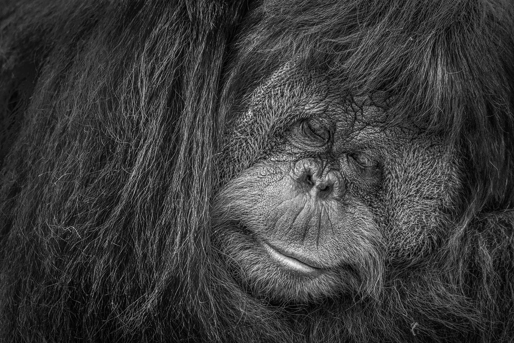 CT-April-2021 – Photographic Society of Sri Lanka