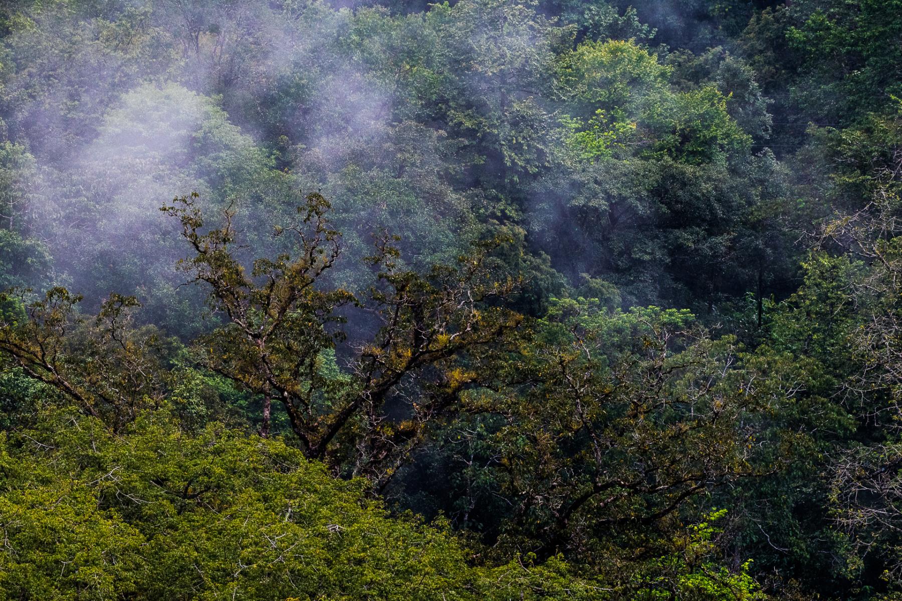 CT-April-2021 – Photographic Society of Sri Lanka