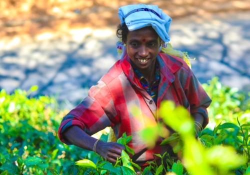 CT-JUNE-2021 – Photographic Society of Sri Lanka